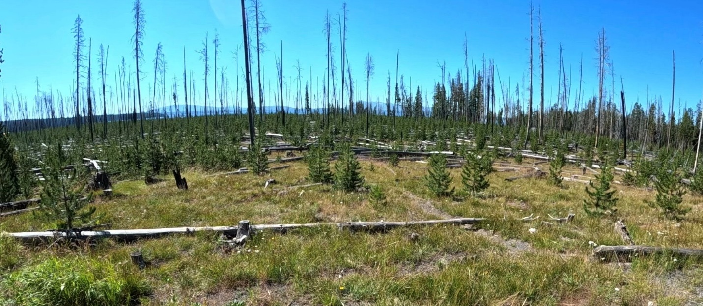 Yellowstone National Park: First National Park